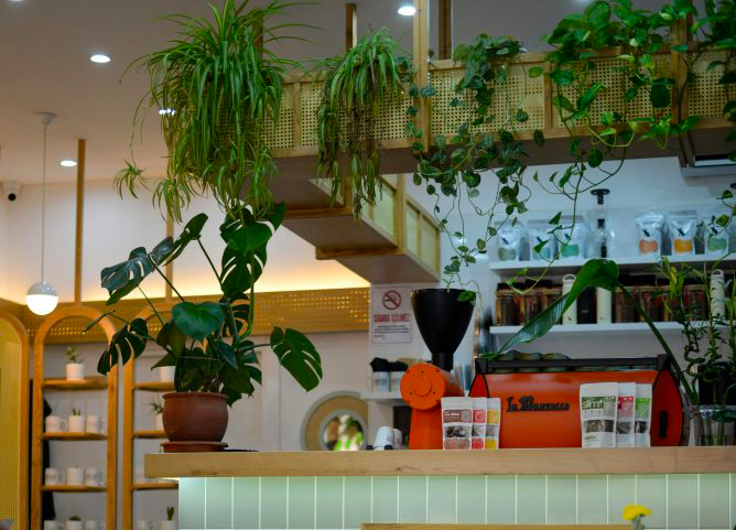 Small City | Nouveau centre d'activités au Petit-Lancy